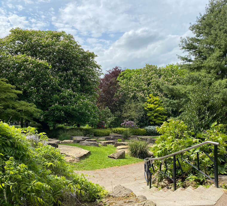 Gorgeous gardens at Clifton Park - Clifton Park Rotherham